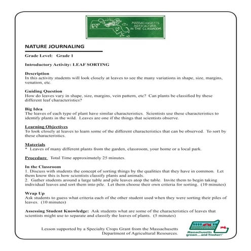 Grade 1 School Garden Lesson Plan - Leaf Lesson: Leaf Sorting ...