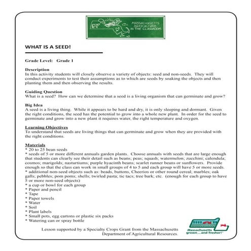 Grade 1 School Garden Lesson Plan - Seeds Lesson; What is a Seed ...