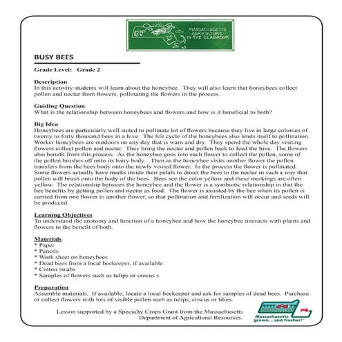 Grade 2 School Garden Lesson Plan Pollination Lesson 🌿 Plant