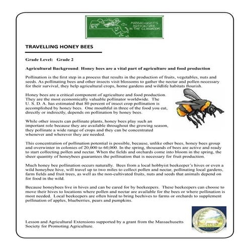 Grade 2 School Garden Lesson Plan - Pollination Lesson; Travelling ...