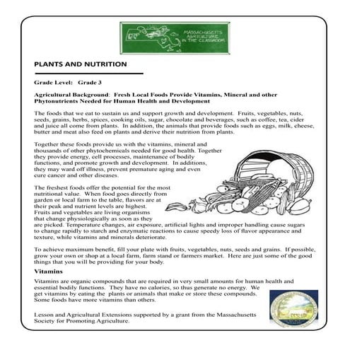 Grade 3 School Garden Lesson Plan - Leaf Lesson; Plants and Nutrition ...