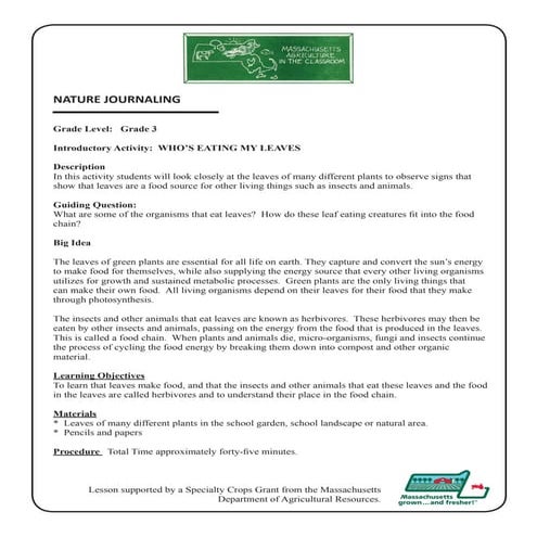Grade 3 School Garden Lesson Plan - Leaf Lesson; Who’s Eating my Leaves ...