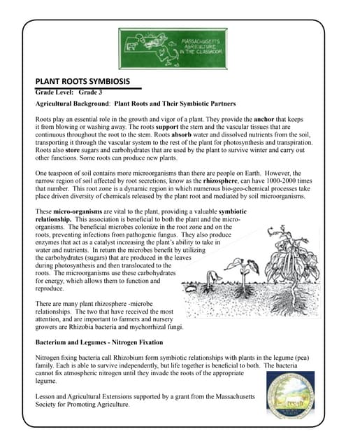 Shanella Moore Crop Production SBA 2022.pdf