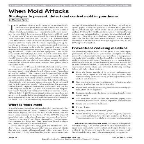 Sample Mold Report | PDF