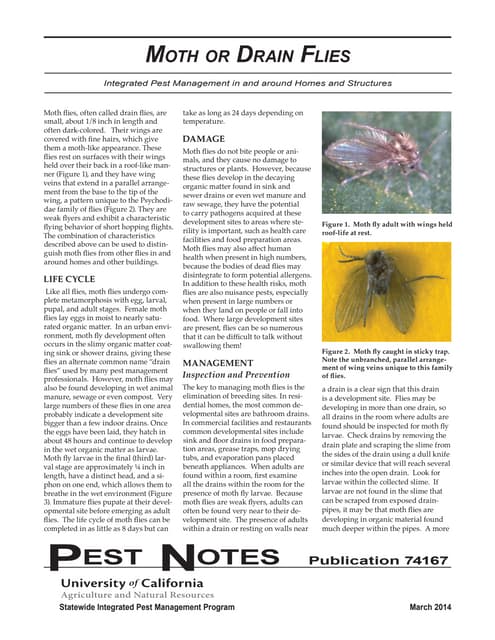 Preservation of dry specimens | PPTX