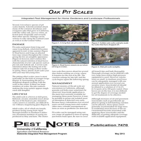 Oak Pit Scales Integrated Pest Management | PDF
