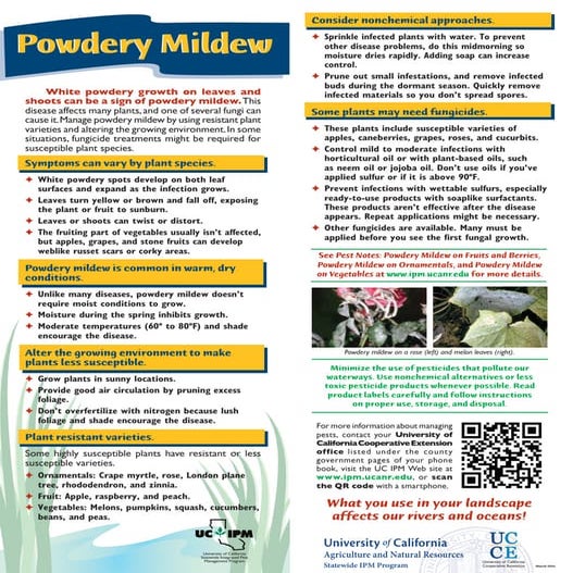 Powdery Mildew Quick Tips Natural Pest Control | PDF