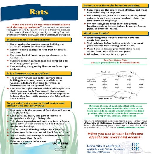 Rats Quick Tips Natural Pest Control | PDF