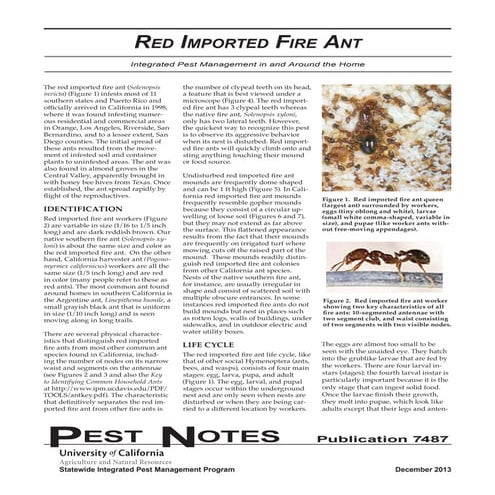Red Imported Fire Ant Integrated Pest Management | PDF | Beekeeping ...