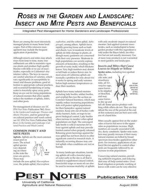 Phanerogamic plant parasites | PPT | Gardening | Home & Garden