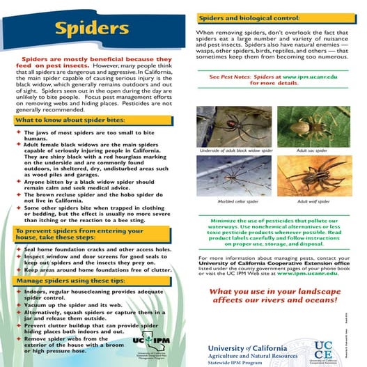 Spiders Quick Tips Natural Pest Control | PDF