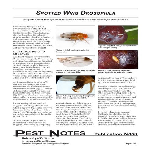 Spotted Wing Drosophila Integrated Pest Management | PDF