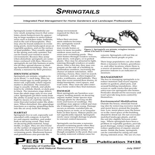 Springtails Integrated Pest Management | PDF