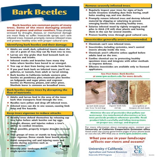 Bark Beetles Quick Tips Natural Pest Control | PDF | Woodworking | Arts ...