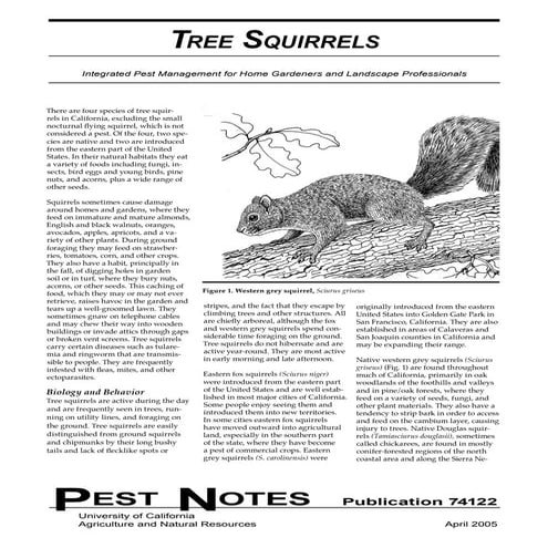 Tree Squirrels Integrated Pest Management | PDF