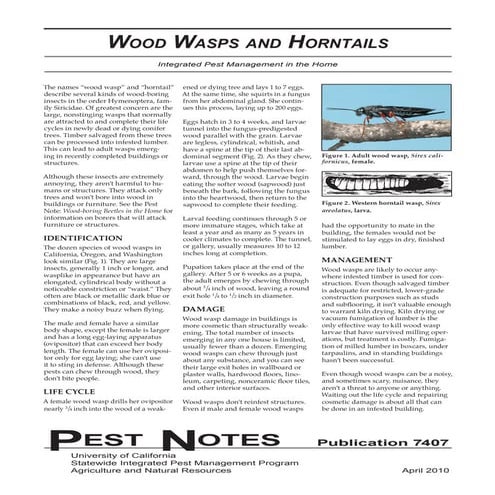 Wood Wasps and Horntails Integrated Pest Management | PDF
