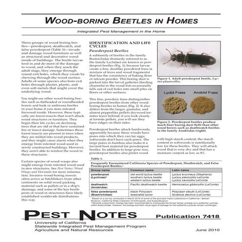 Wood-Boring Beetles in Homes Integrated Pest Management | PDF