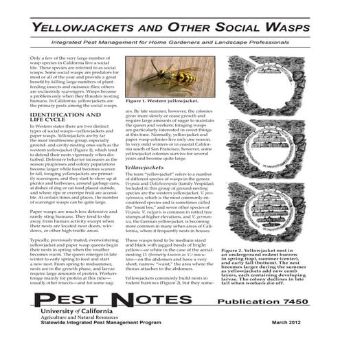 Yellowjackets and Other Social Wasps Integrated Pest Management | PDF
