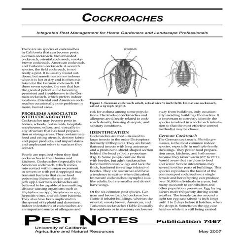 Cockroaches Integrated Pest Management | PDF