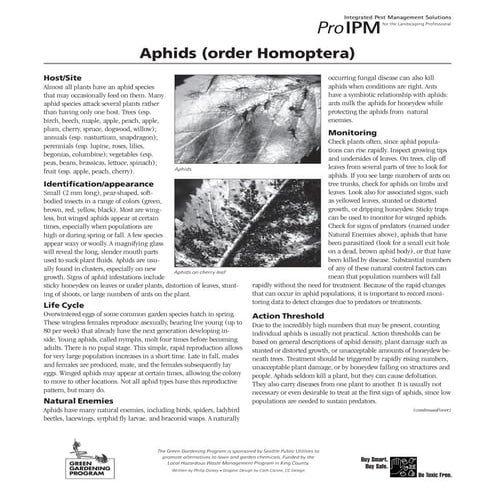 Aphids Integrated Pest Management Solutions | PDF