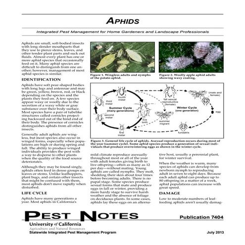 Aphids Integrated Pest Management | PDF