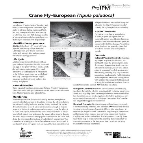 Crane Fly Integrated Pest Management Solutions | PDF