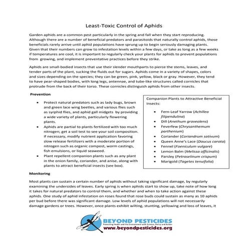 Aphids Natural Pest Control | PDF
