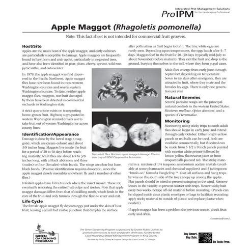 Apple Maggot Integrated Pest Management Solution | PDF