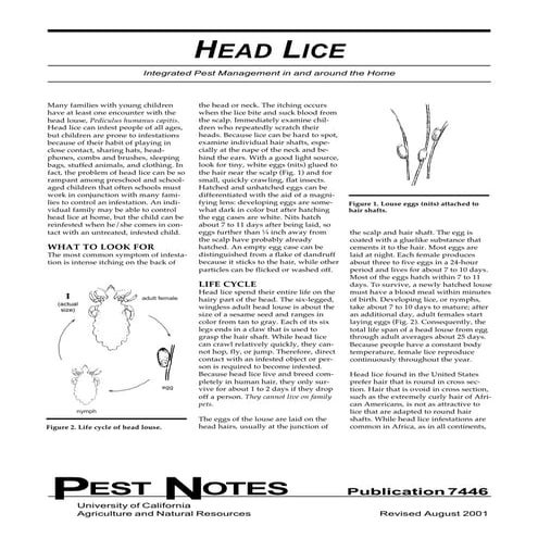 Head Lice Integrated Pest Management | PDF