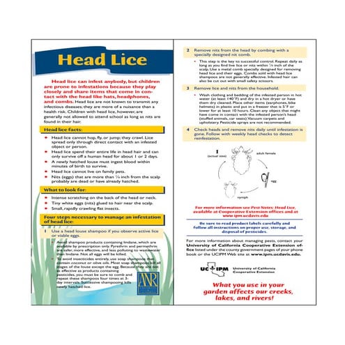 Head Lice Quick Tips Natural Pest Control | PDF