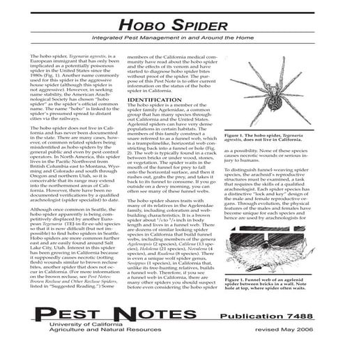 Hobo Spider Integrated Pest Management | PDF