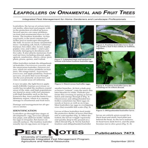 Leafrollers on Ornamental and Fruit Trees Integrated Pest Management | PDF