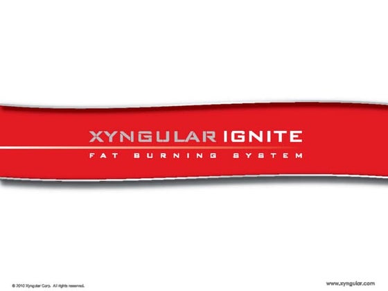 Xyn plot dashboard | PDF