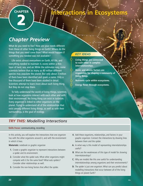 6th Grade Chapter 6 | PPT