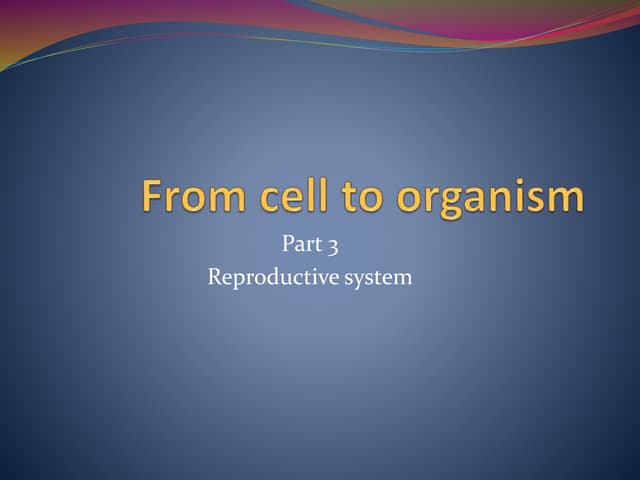 Animal organ systems | PPTX