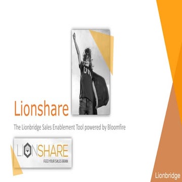 Lionbridge Overview | PPTX