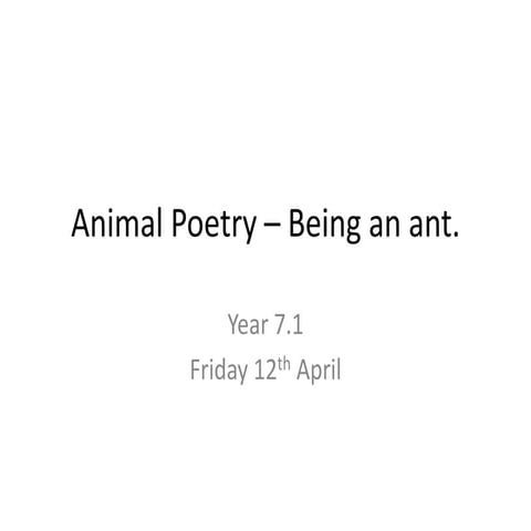 Y7 animal poetry ants | PPTX