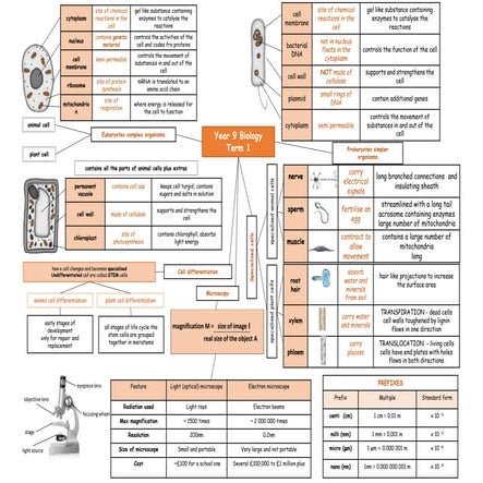 Y9-T1-Biology-Cells.pptx