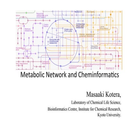 Metabolic network and cheminformatics | PDF