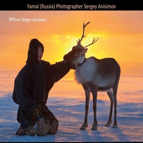 Siberia (Peninsula Yamal) | PPS