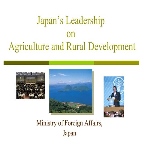 Japan’s Leadership on Agriculture and Rural Development | PPS