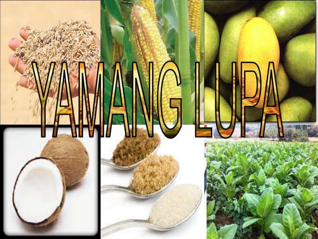 Yamang Lupa Ppt