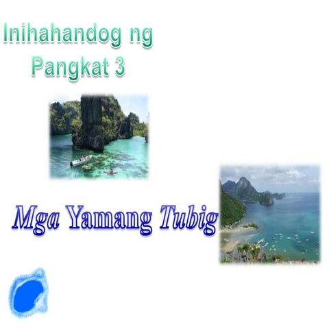 Yamang gubat | PPTX