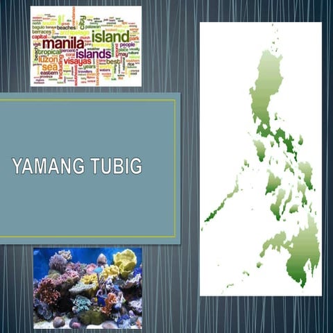 Yamang tubig (2) | PPTX