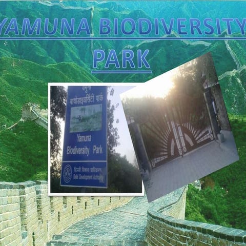 Field visit report of Moragahakanda reservoir project | PDF