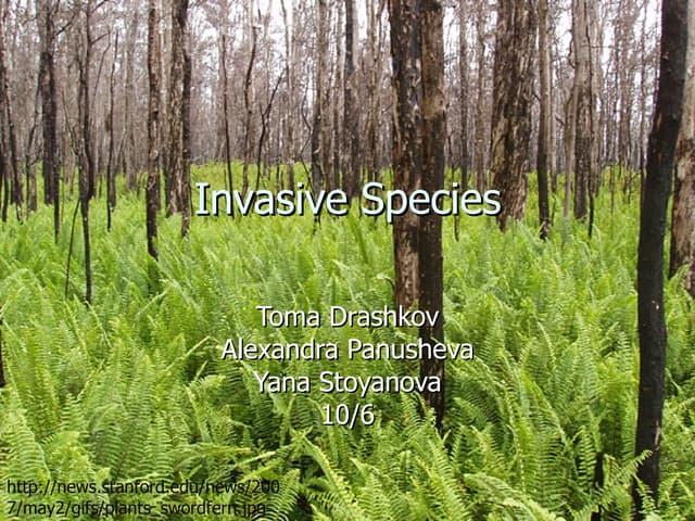 Intruders_in_Ecosystems_Expert.pptx00000 | PPTX