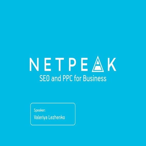 Netpeak for travel industry | PDF