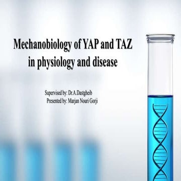Yap& Taz | PPTX