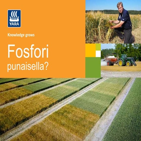 Pellolla fosfori punaisella? | PPT