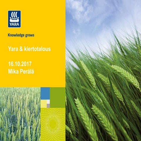 Yaran esittely Mika Perälä | PPT